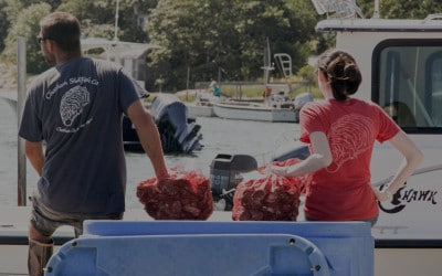News & Events | Chatham Shellfish Company